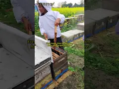 Wholesale 100% Natural Bee Honey High quality Pure Raw Organic Traditional Herb Honey