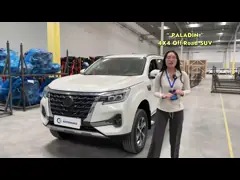 2.0T 228 Horsepower L4 Nissan Pickup Truck Paladin Petrol Gasoline Pickup