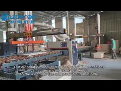 Caricamento CNC automatizzato Scarico di pannelli di legno Cnc carico e scarico