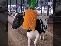 Farm Automatic Swing Cattle Scratching Brush Massager With Motor Yellow Green