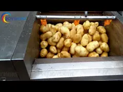 Semi-Automatic Frozen French Fries Production Line for Easy Operation and Maintenance