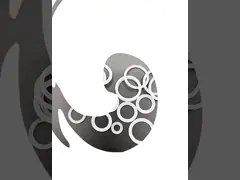 Food Grade Waterproof Rubber O Ring Kit Silicone O Ring Kit Customized ISO9001