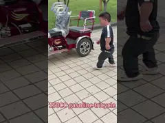 China 3 wheel motorized tricycle handicapped tricycles gasoline motor tricycle for adult for sale