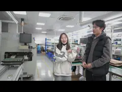 OEM Li-Ion Lifepo4 NMC Sodium Ion Battery BMS 6S - 16S 20A - 60A With Balance