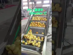 Macchina industriale degli spremiagrumi dello snocciolatore della pera, produttori della macchina del succo del mango