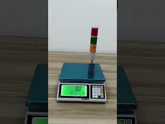 Customized Digital Weighing Scale