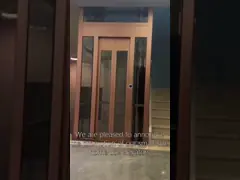 Classic Traction Gearless Traction Small Residential Elevators Sleek Design