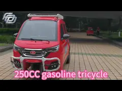 China 250CC 3-Wheel Motorcycle Bajaj Taxi Motor Tricycle Passenger Gasoline Trike for sale