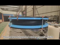 Cina SS316 Flange a sfera singola EPDM faccia di gomma completamente sigillata in vendita