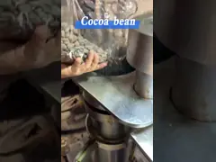 cocoa bean oil press machine