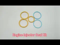 China Excavator Engine Repair Kits C7 C9 Engine Injector Seal Kit 297-4841 O-Ring Seal 2974841 For 329D 330D 336D Excavator for sale