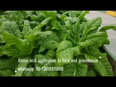 China Fish Meal Protein Fertilizer Contains Micronutrients Including Calcium Magnesium Iron Zinc for sale