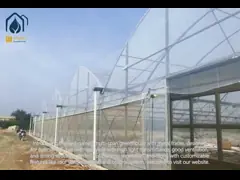 China Multi Span Greenhouse Project Management Advanced Irrigation For Large Farms for sale