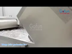 Processione alimentare Macchine per la produzione di succo di mango Risparmio idrico Certificato CE/ISO9001