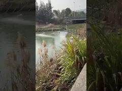 China Optimum Input Voltage 60V-90V DC Solar Water Pump with MPPT Controller Type and Max Flow 3.8m3/h for sale