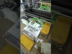 Προσαρμοσμένη εκτύπωση LDPE HDPE Die Cut Handle Carry Poly Grocery Σούπερ μάρκετ Εμπορεύματα Δώρο πλαστική συσκευασία Σώλα με λογότυπο