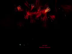 Liuyang Pyrotechnics Consumer Cake Fireworks 2023 New Fireworks