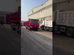 Howo Brand 6x4/8x4 Dump Truck 371/430Hp  for Coal Transportation