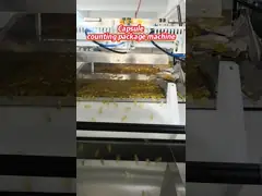 China Automated Piece Counting Visual Counting Machine For capsule blister packing machine for sale