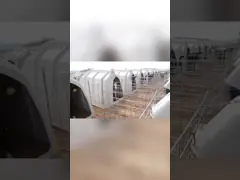 220*145*145cm Bianco latte vitello Hutches Perfetto per le vostre esigenze agricole