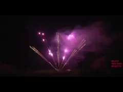 Chinese Pyrotechnics Outdoor 300 Shots Professional Fireworks Display 1.3g Fan Shaped