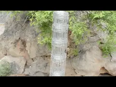 China Heavy Galvanized Sheep Wire Mesh Fence Thick Wire Diameter Hinge Joint Sheep & Goat Fence for sale