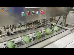 Industrial mango peeling machine