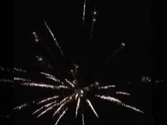 Chinese 49 Shots Consumer Cake Fireworks 350G With Special Effects