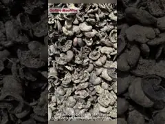 flat die pellet making machine