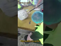 China Wholesale 100% Natural Bee Pollen Powder Raw High Quality Organic Mix Pollen Powder for sale