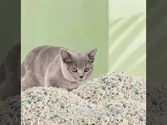 China OEM Organic Deodorant Tofu And Bentonite Mixed Cat Litter With Multi Scent for sale
