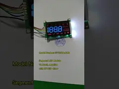 Blue Segments VA LCD Module Black 5V LCD Display White Backlight With PCB