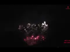 Liuyang 56 Shots Professional Fireworks Display 1.3g Un0335 For Festival Celebration
