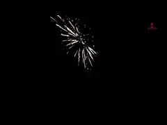56 Shots Consumer Cakes Fireworks 2024 1.4g UN0336 For Party