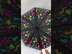 Creative Umbrella