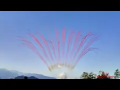 Chinese Factory Wholesale Daytime Fireworks Celebration Coloured Smoke Cake Fireworks Pyrotechnics