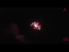 Chinese Liuyang 49 Shots Consumer Cakes Fireworks 2022
