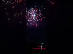 Outdoor 88 Shots Pyrotechnics Cake Fireworks From China