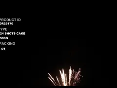 Mandarin Pyrotechnics Consumer Cake Fireworks 24 Shots 500g For Party