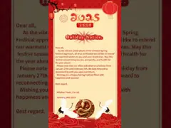 2025 Spring Festival