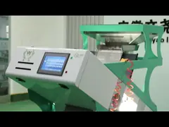 China Buckwheat Barley Wheat Lentil Optical Colour Sorter Coffee Cleaning Color Sorter Machine Grain Wheat Grading Color Sorter for sale