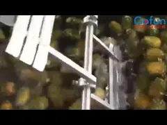 중국 자동 파인애플 주스 가공 라인 엄격한 품질 관리, 파인애플 제품 공장용 다기능 판매용