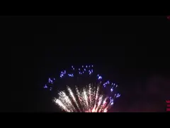 Mandarin Pyrotechnics Liuyang Professional Cake Fireworks 100 Shots