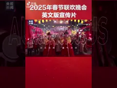 Introduction to The Spring Festival