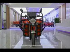 Manufacturers Direct Sales  Long Endurance Electric Tricycle with Cargo Box Products Transport Triciclo Elect