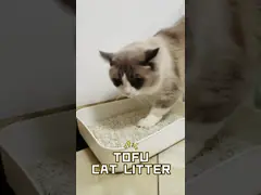 China Juicy Peach Tofu Beads Cat Litter Green Environmentally Friendly for sale