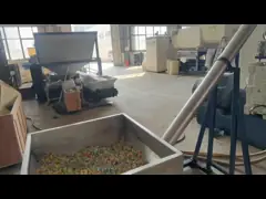 중국 수직 단일 나사 플라스틱 진압기 한 단계 플라스틱 펠레티제러 기계 800kg/Hr 판매용