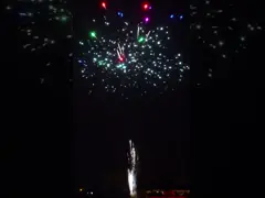 Chinese Professional Consumer Cake Fireworks Big 1.4g