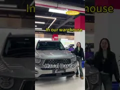 Haval Dargo High Speed Gasoline SUV New Car