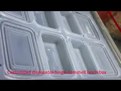 Mass production process of plastic disposable lunch boxes